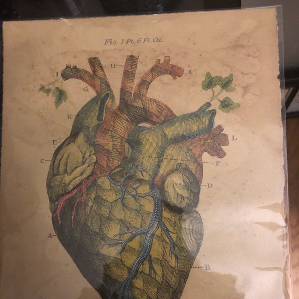 Hoppy Heart Art Print, Beer Hops Collage Tea Stained Paper - Etsy