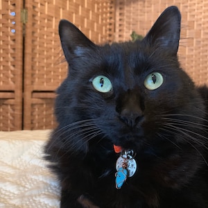 Raw Natural Crystal Key Chains/pet Collar Charms You Choose - Etsy