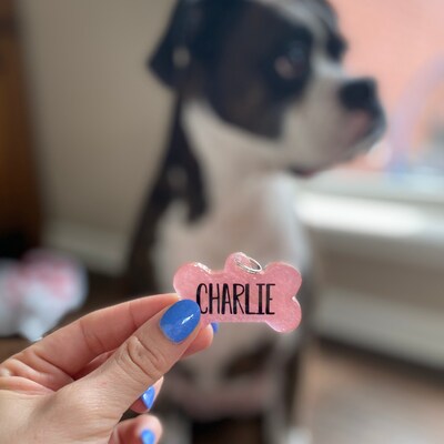 TAMUCC Islander Vinyl Sticker - Etsy