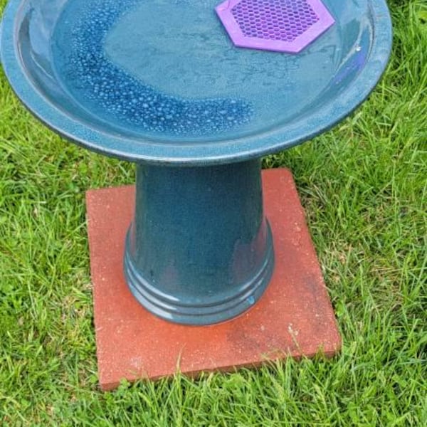 Monarch Butterfly Raising Kit- Butterfly Raising Kit, Milkweed Floral ...