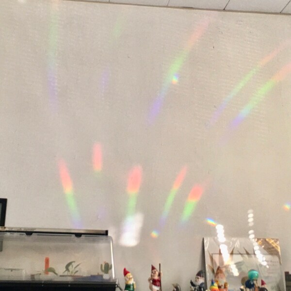 SUNCATCHER Mystical Bookshelf | Rainbow Suncatcher, Sticker, Rainbow ...