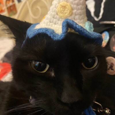 Pink Knitted Yarn Pig Hat for Cat or Small Animal new Design - Etsy