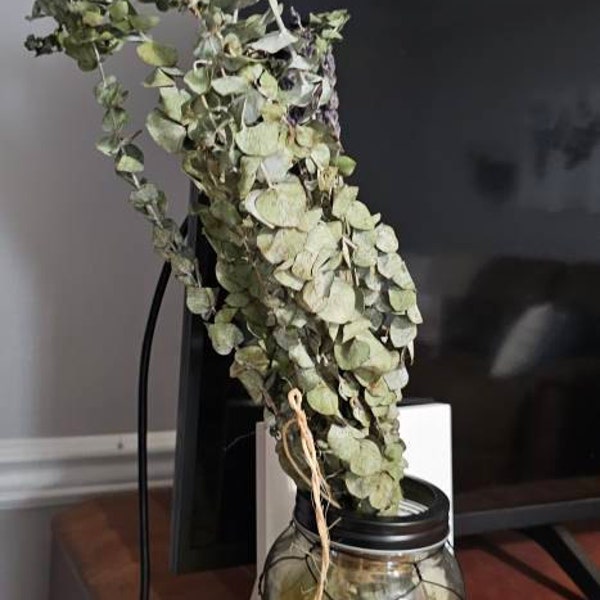 Fresh Eucalyptus Wreath 20" - Etsy