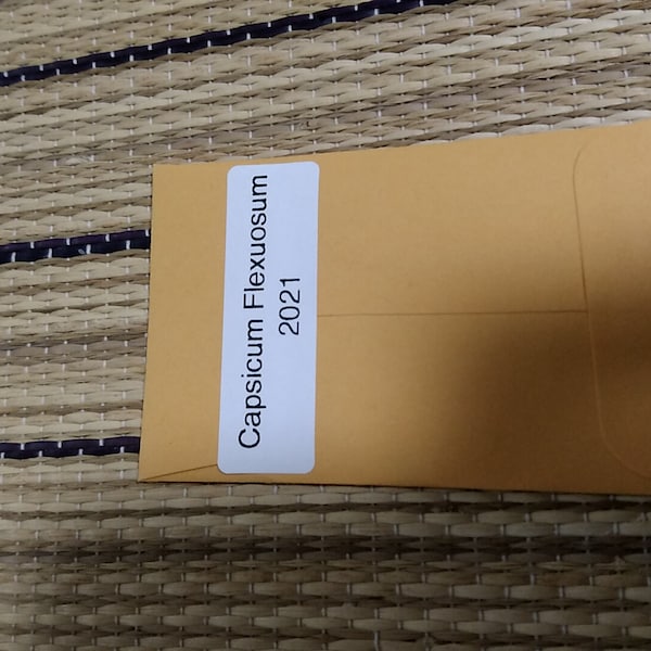 Cold Hardy Chili Pepper Seeds - Capsicum Flexuosum, Aka February Fire ...