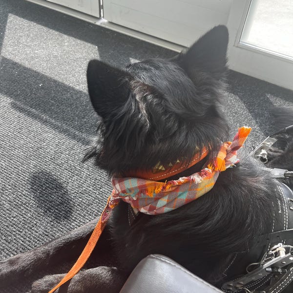 Traditional Woodland Camouflage Archery Arm Guard With Adjustable ...