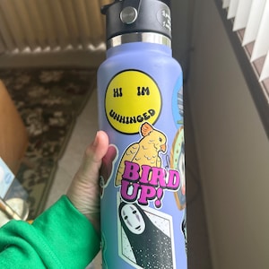 Iowa Captive Vinyl Sticker Car Window Door Bumper Decal Pride Home IA ...