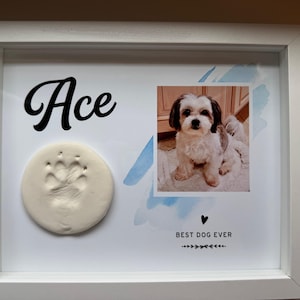Paw Print Kit Favonuovy Pet Memorial Shadow Box Keepsake 9.3x13 Inch ...