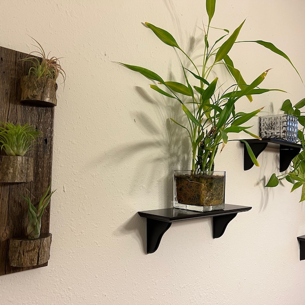Rustic Reclaimed Wood Air Plant Wall Holder Display - Etsy