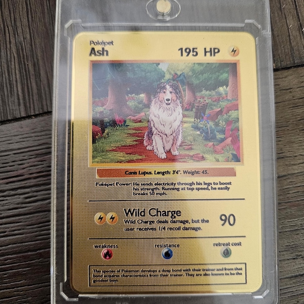 Custom Pet Portrait, Custom Dog Portrait, Custom Pokemon Cards ...