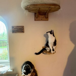 Large Wall Mounted Floating Cat Perch Bed With Pillow and Paw Shape ...