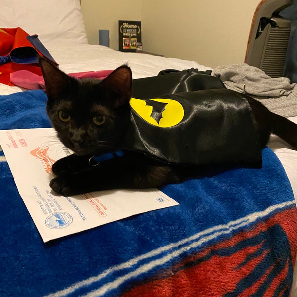 Cat Superhero Cape/ Cat Costume - Etsy