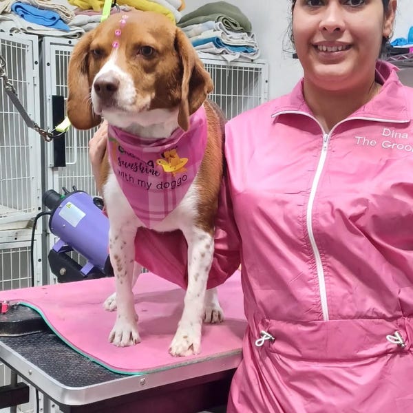 Groom Jumpsuit Short Sleeve (or Long Sleeve) Groomer Women's Overall ...