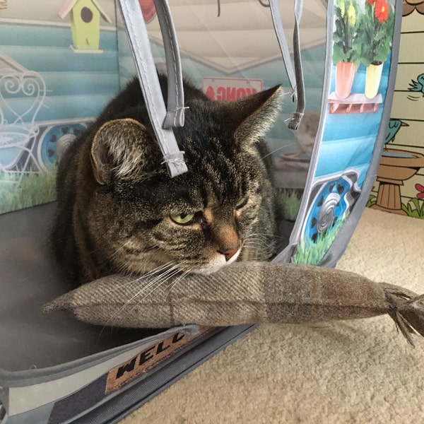 Large Tartan Catnip Kicker-kitty Kickers-handmade Tweed Cat Toy-catnip ...