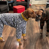 Vizsla Pyjamas, Vizsla Fleece-Pyjamas, Hundepyjamas, Hunde Outfit ...