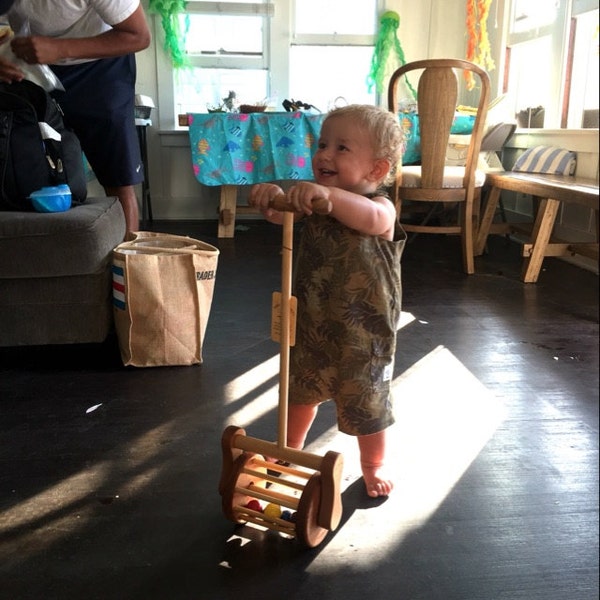 Papa Don’s Classic Lawnmower Push Toy - Beautiful Traditional Wooden ...