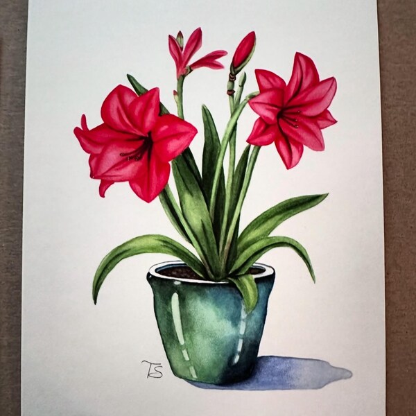 Hand Painted Amaryllis Watercolor Print: Fine Art Wall Decor - Etsy