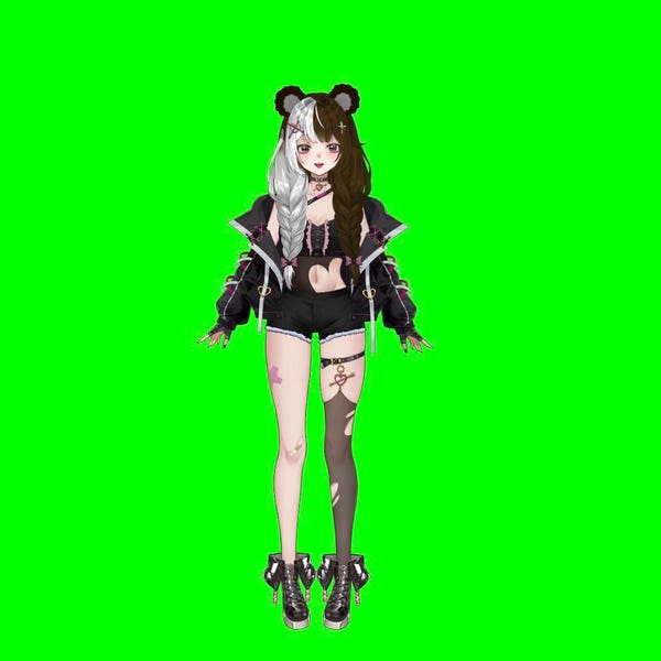 Customizable Live2d Vtuber Model V.1, Premade Vtuber, Fully Rigged, Vtube Studio, Commercial Use ...