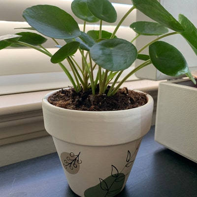 Hand Painted Planter Arizona Desert Cacti Terracotta Pot Clay Pot Boho ...