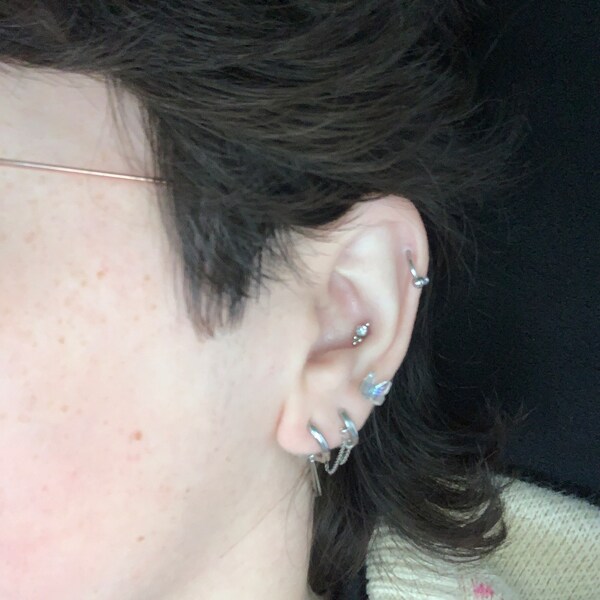 Conch Labret, 16 Guage, Internally Threaded, Conch Earring, 316L ...