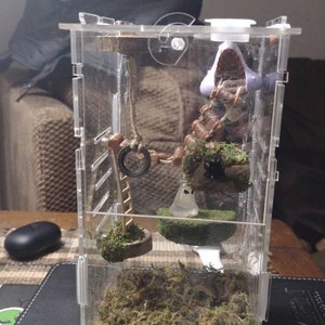 ORIGINAL Modular Spider Enclosure 4 X 4 X 8, Jumping Spider Home ...