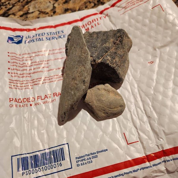 River Stone / Planted Aquarium / Decoration / Hardscape / Aquarium ...