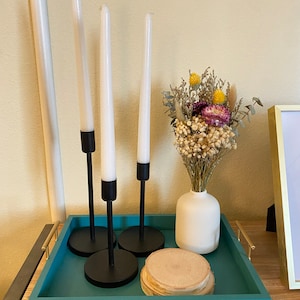 Preserved Lycopodium Bunchdried Princess Pine Grassdried - Etsy