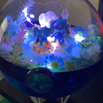 Pokemon Terrarium Sweet Paradise Pokeball Diorama/ Custom/100mm /120mm ...