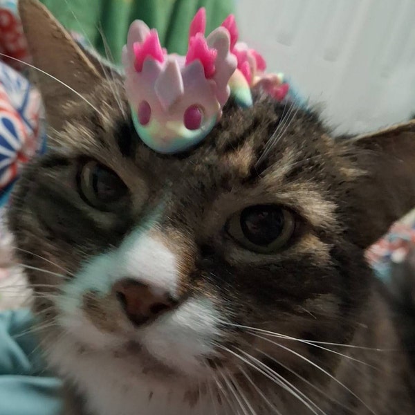 3D Printed Mini Flexi Animal Fidget 3D Printed Fidget Toy Flexi Toy ...