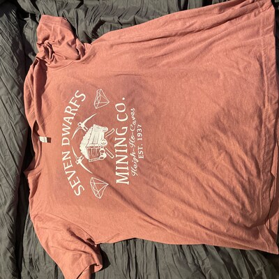 Team Spirit Shirt It's A Great Day to Be a Hawk, Hawks Spirit Wear ...