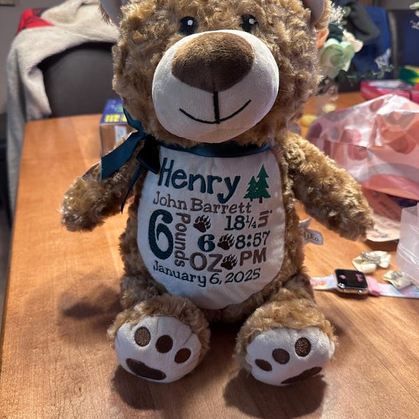 Personalized Stuffed Animal Teddy Bear Embroidered Birth Announcement ...