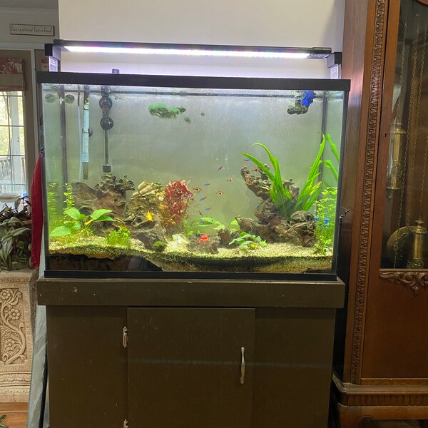 Hygger Programmable Light Riser, Attractive Stable Elevated Stand ...