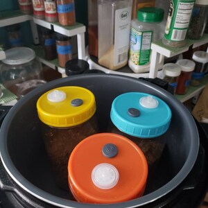 6 Grain Spawn Mason Jar Lids Wide Mouth for Mycology Value Cap - Etsy