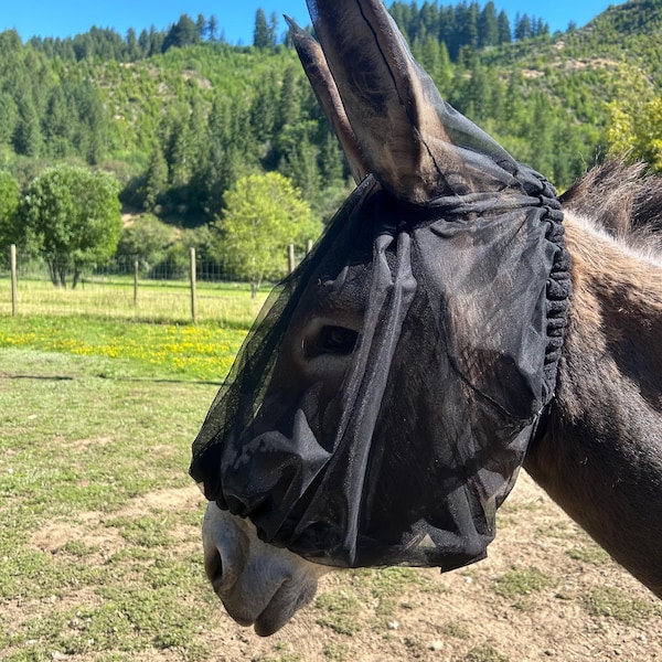 Fly Boots Cannon Covers Fly Protection for Legs Breathable Equine Leg ...