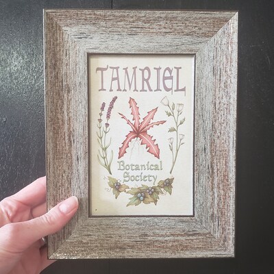 Tamriel Botanical Society Elder Scrolls Art Print Skyrim Botanical ...