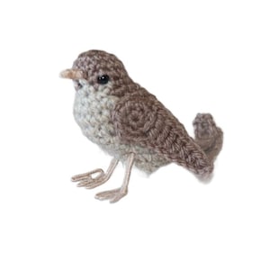 Red-bellied Woodpecker Written Crochet Pattern Realistic Garden Bird ...