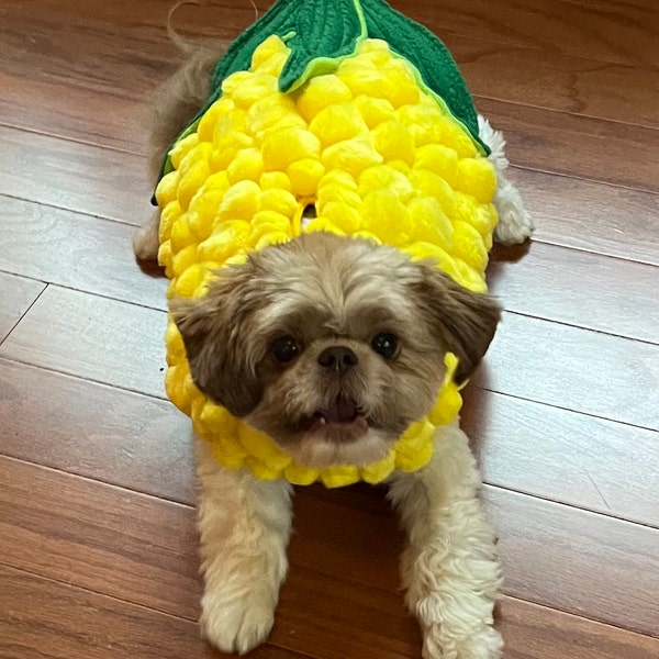 CORN DOGS or Kitty Corn!? Corn Coat for Cats & Dogs - Etsy