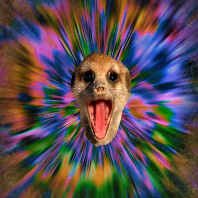 Square Black Picture Frames 4x4 5x5 6x6 7x7 8x8 9x9 10x10 11x11 12x12 ...