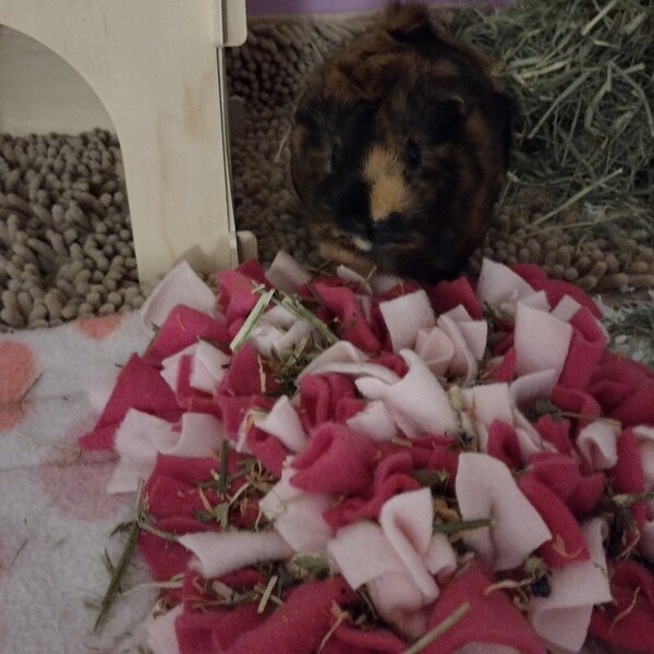 SMALL Burnt Orange Snuffle Mat for Dogs - Enrichment Mat - Rooting Rug ...