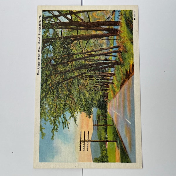 Vintage Comic Postcard Im Seeing Everything On This Trip Risque Humor Postcard C1940s