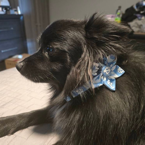 Handmade Duck Collar. Coco Collar. Green and Brown Jacquard Ribbon. for ...