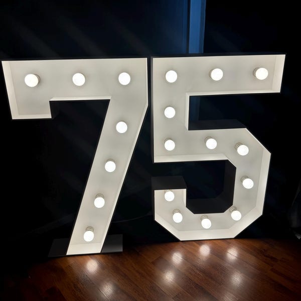 Light up Numbers, Birthday Numbers, Giant Event Numbers, Large Lighted ...