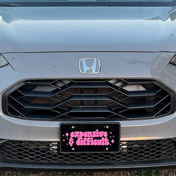 I Love Nice Women License Plate - Etsy