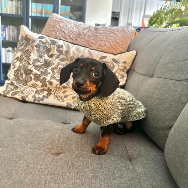 Kona Knit Dog Sweater Pattern, DIGITAL PATTERN, Puppy Sweater - Etsy
