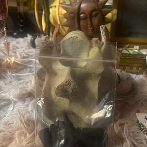 Protection Spray Highly Magickal Spray Protects You & Your - Etsy