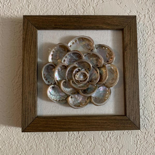 Bulk Raw Red Abalone Shells, Bulk Shells for Crafting, Abalone Shells ...