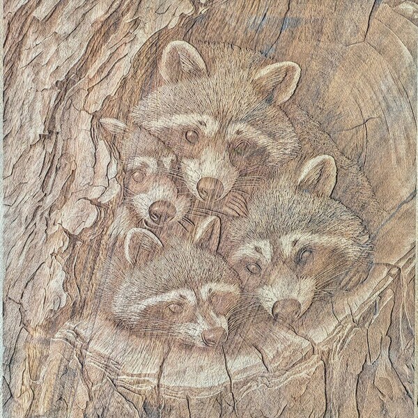 3D Illusion Laser Burn PNG Digital File Perfect for Engraving Instant ...