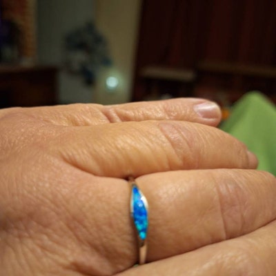 Moon Snail Shell Tanea Lineata 24k Gold Plated Trim Pendant Sea Pendant ...