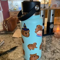 Large Hyrax Sticker: 4"x 3.5" Hatsune Miku Hyrax. Funny Cute Animal ...