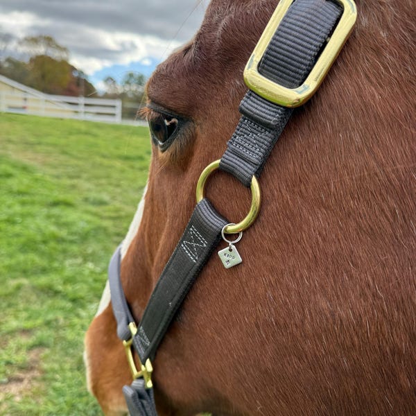 Custom Horse Name Tag: Aluminum Bridle Tag With Picture Stamp - Etsy