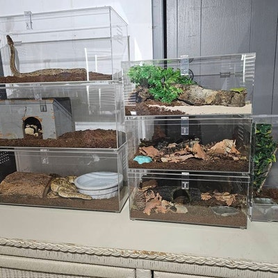Reptile Arboreal 10 Gallon Front Opening Enclosure, Terrariums ...